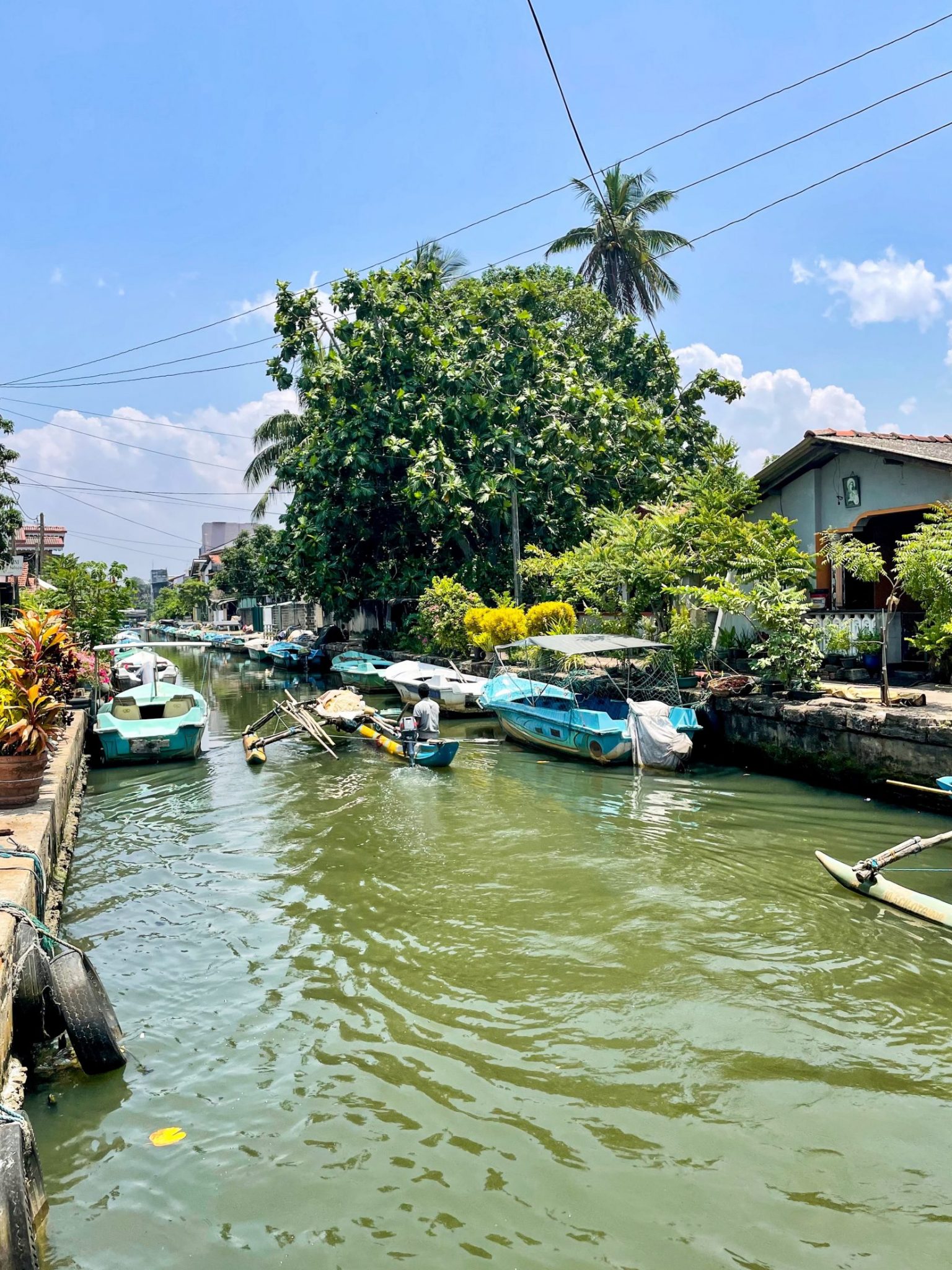 Ein Tag in Negombo: Sehenswürdigkeiten + Reisetipps [2025] - JOURNICATION